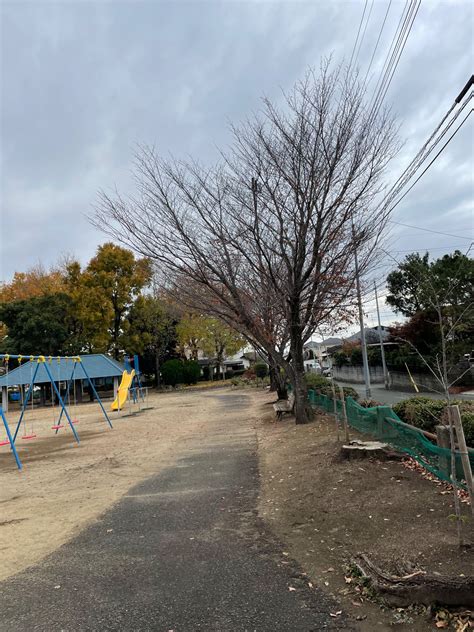 口コミの詳細：辻の城公園辻の城公園 By Line Place
