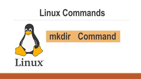 Azmat Ullah On Linkedin Linuxtips Mkdircommand Techtips Digitalnomad