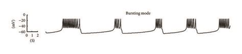 Single Burst And Switching Mode Of Stn Neurons Spiking Generated By
