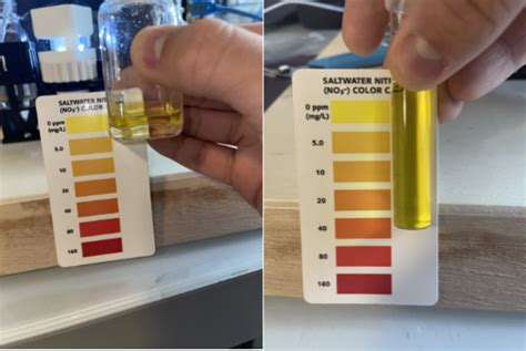 Automated Nitrate Testing Using An Api Liquid Test Kit And Arduino