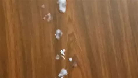 Cum On Hotel Table Xhamster