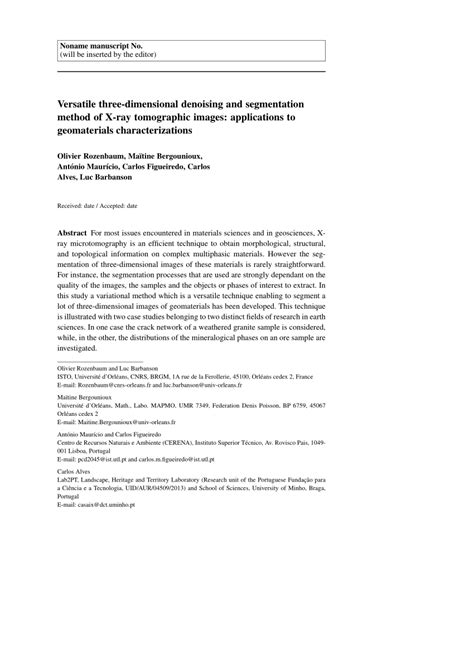 pdf versatile three dimensional denoising and segmentation method of