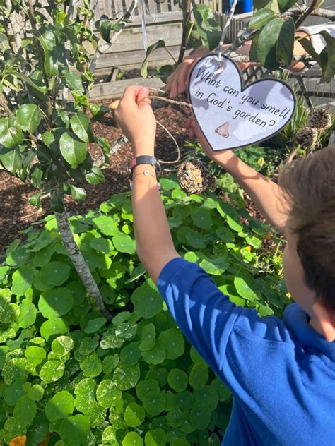 A Wonderful Report From Our Recent Siams Inspection Lerryn