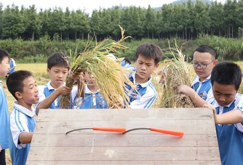 安乡清凉工程暖人心 市县联播 湖南教育新闻网