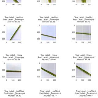 Results Of This Research Using Data B Download Scientific Diagram