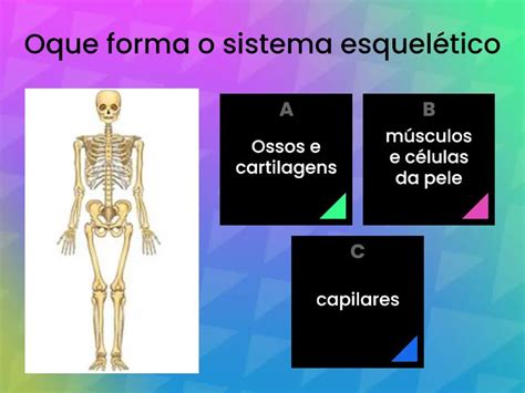 Sistema Esqueletico Quiz