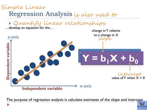 An Overview Of Simple Linear Regression