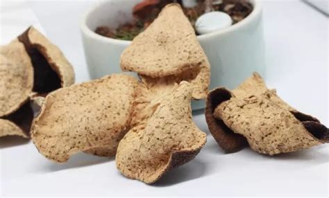陈皮莲子红豆沙孕妇可以吃吗陈皮莲子红豆沙孕妇可以吃吗 滋源堂养生网