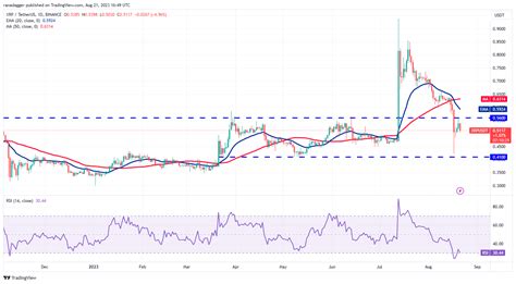 Bitkub Academy Weekly Insight 21 27 สิงหาคม 2023 Bitkub Academy