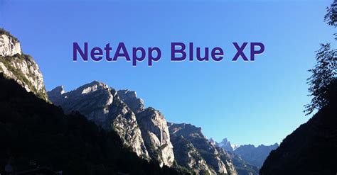 NetApp Introduces Blue XP Data Management Blocks And Files