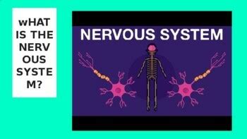 DBT Lesson TIPP Skill By TheConsciousSupporter TPT