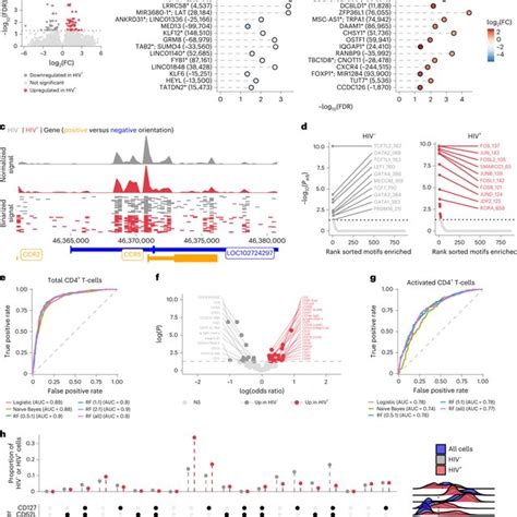 Differential Chromatin Accessibility In Hiv Infected Cells And Surface
