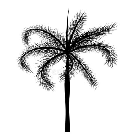 Tree Vecter Stock Illustrations 535 Tree Vecter Stock Illustrations
