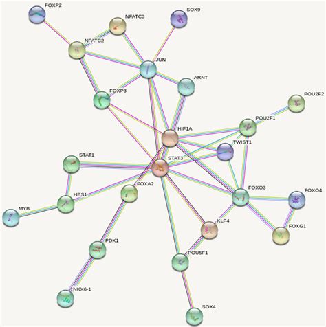 Tf Network Associated To Autism Disorder In Gad Disease Database Download Scientific Diagram