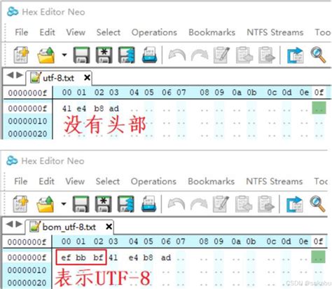 字符的编码方式（ascii，ansi，unicode）ansi字符 Csdn博客