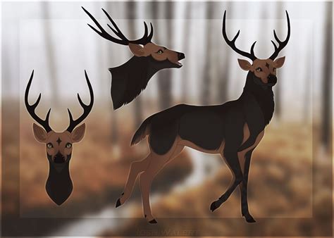 Adopt Deer Open By Josh Walert On Deviantart