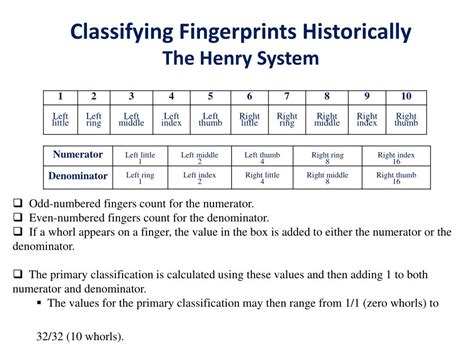 Ppt Lecture 13 Fingerprints Powerpoint Presentation Free Download