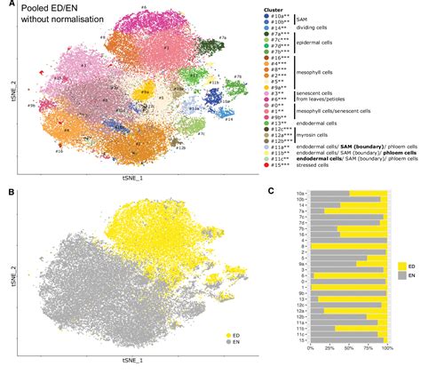 Figure 3 From Shoot And Root Single Cell Sequencing Reveals Tissue And