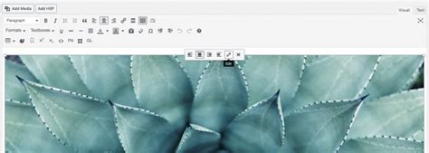image editing pressbooks user guide