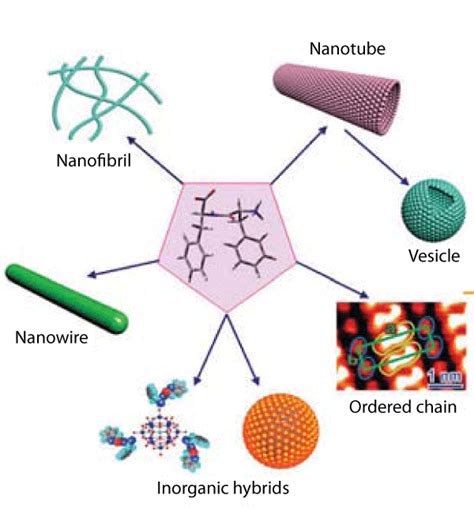Self Assembly As A Technique For Peptide Based Materials