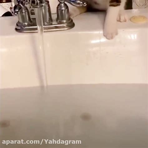 حموم جمعه