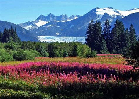Mendenhall Glacier Juno Alaska