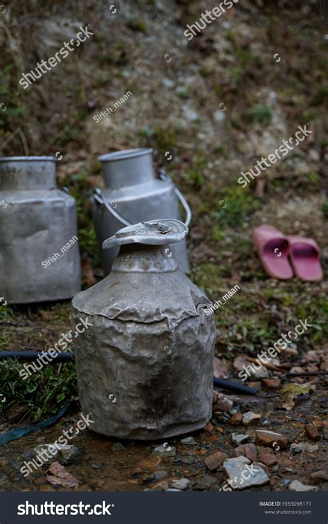 Object Detect Object Detection Dataset And Pre Trained Model By Dav College