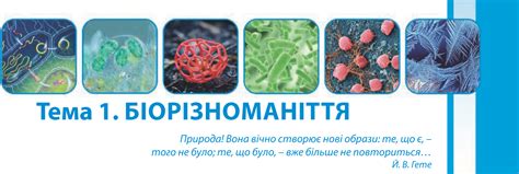 School Biology Club Біологія 10 клас Тема 1 Біорізноманіття