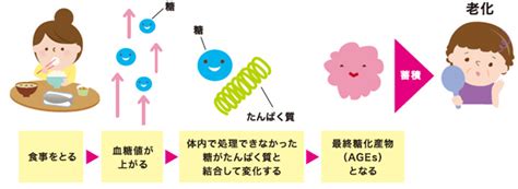 肌のトラブルや老化の進行の原因は“糖化”にあった！ 料理教室のabcクッキングスタジオ