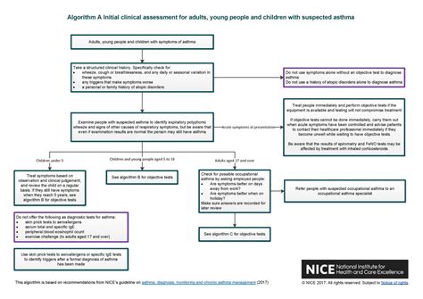 Niceguidelinesalgorithma2 Bedfont Nobreath® Feno Monitor