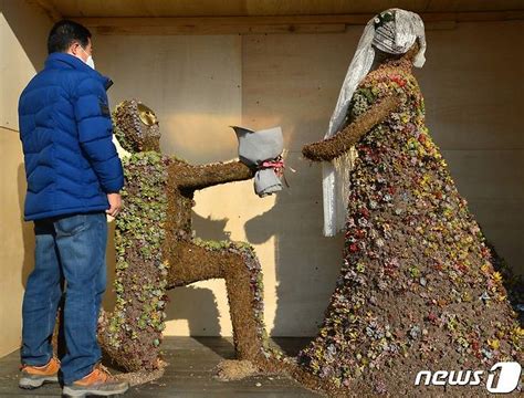 다육이 인형의 프로포즈