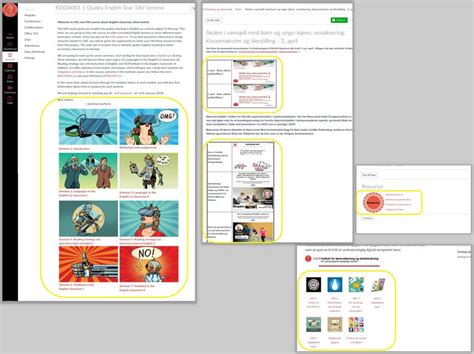 PEDAGOGICAL USE OF CANVAS REPORT ON THE USE OF CANVAS IN PILOT