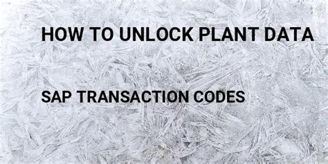 How To Unlock Plant Data Tcode In SAP Transaction Codes List