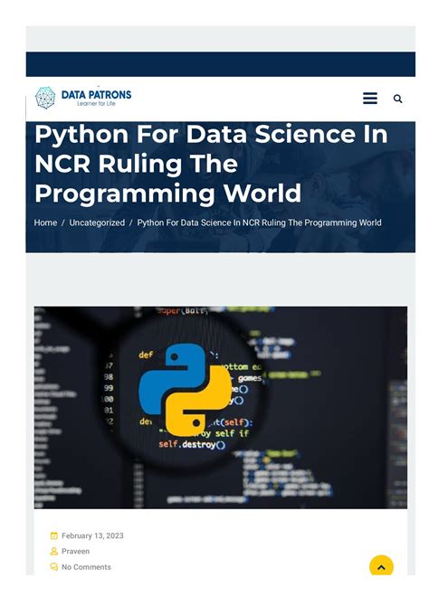 Deep Python Course Training Institute In Ncr Data Patrons Page Flip PDF Online