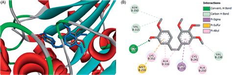 Superposition Of The Re Dockedco Crystallised Ca 4 1 Into The Binding