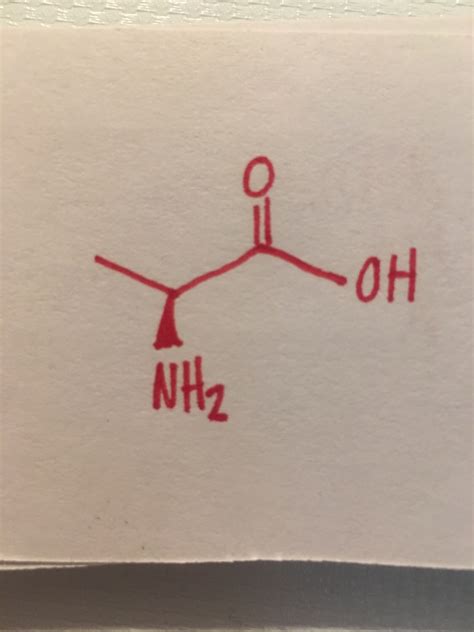 20 Common Amino Acids Flashcards Memorang