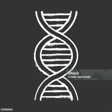 Dna 나선 분필 아이콘입니다 데옥시리보핵 핵산 구조 나선형 가닥 염색체 분자 생물학 유전 코드 게놈 유전학 의학 절연 벡터