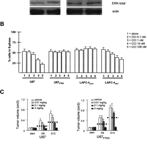 Akt Activity Dependent Regulation Of Cyclin D1c Myc Expression
