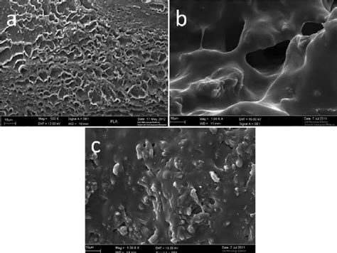Sem Micrograph Taken From The Tensile Fracture Surfaces At Â 1000 Download Scientific Diagram