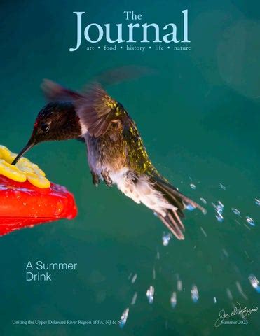 Amour Angels Lisa Like A Bird