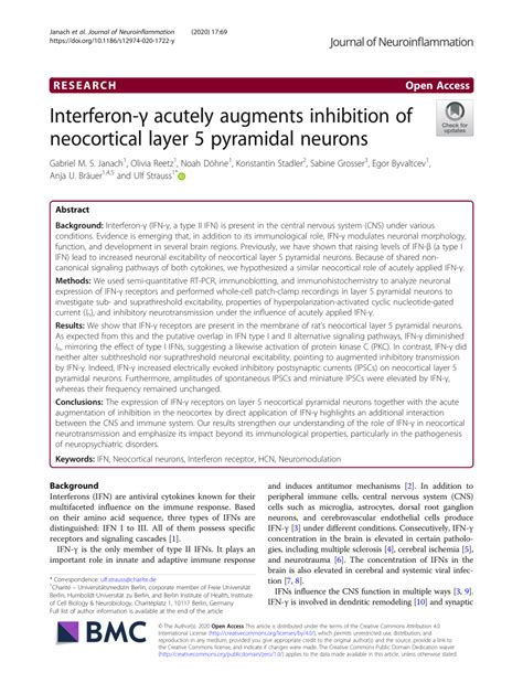 Pdf Interferon γ Acutely Augments Inhibition Of Neocortical Layer 5 Pyramidal Neurons