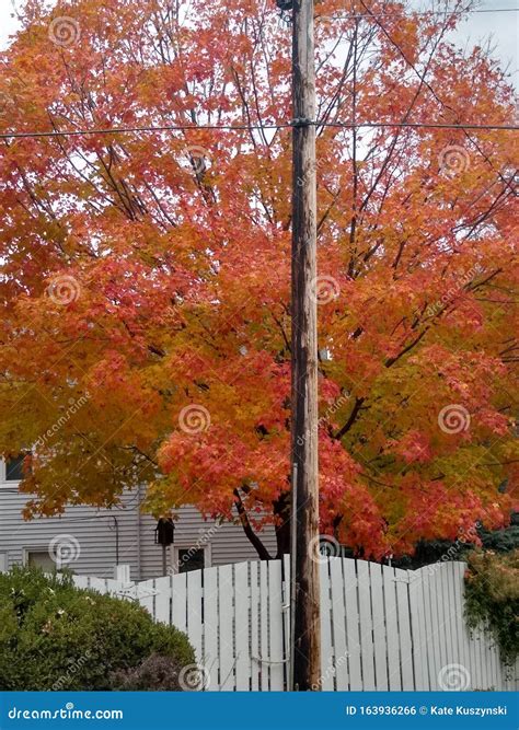 Divide And Conquer Stock Photo Image Of Change Divide