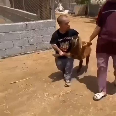 Tanz Kotolee ‎🤣🤣🤣🤣 اگه از اکسپلور میای فالو کن ️ اگه خوشت اومد و
