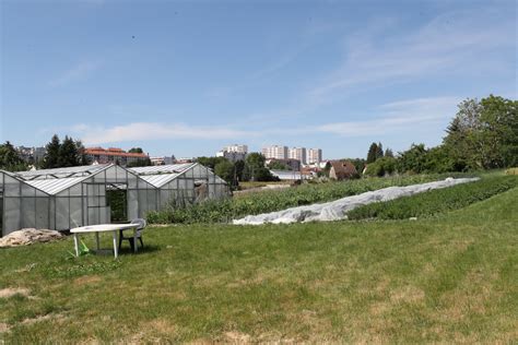 Agriculture Icionagit Besançon Une Micro Ferme Dans Le Quartier