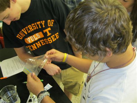 Mrs Lawsons Biology Class Yeast Fermentation Lab