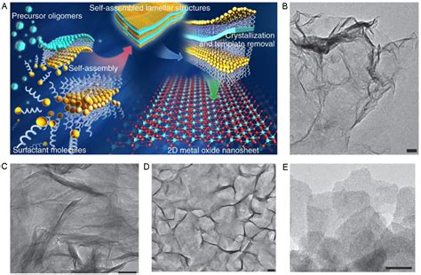 Two Dimensional Materials Synthesis And Applications In The Electro