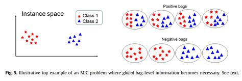 Multiple Instance Learning Mil และ Weakly Supervised Learning Wsl