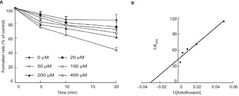 A Concentration And Time Dependent Inactivation Of Phenacetin