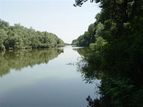 Природен парк Персина е обявен със Заповед № РД 684 от 04 12 2000г