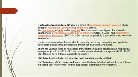 Nucleoside Transporters Pptx